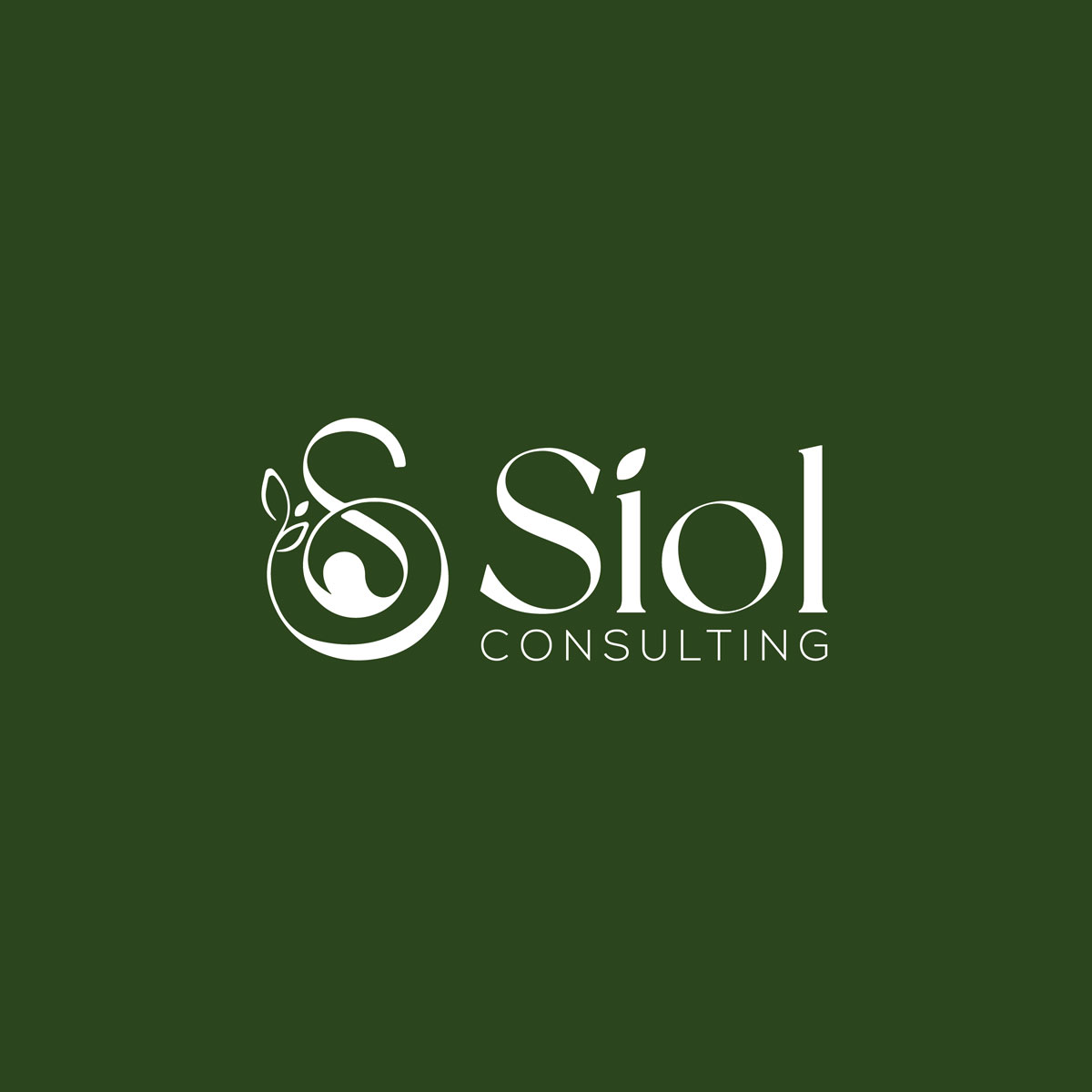 Strategic Leadership & Business Growth Consulting | Síol Consulting